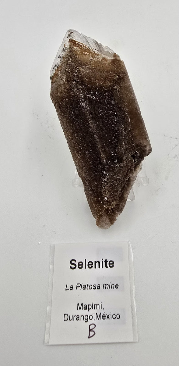 Rare Black Phantom Selenite from La Platosa Mine, Mexico (Small) – Ayla ...