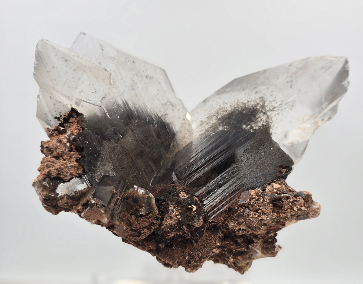 Rare Black Phantom Selenite from La Platosa Mine, Mexico – Ayla's Originals
